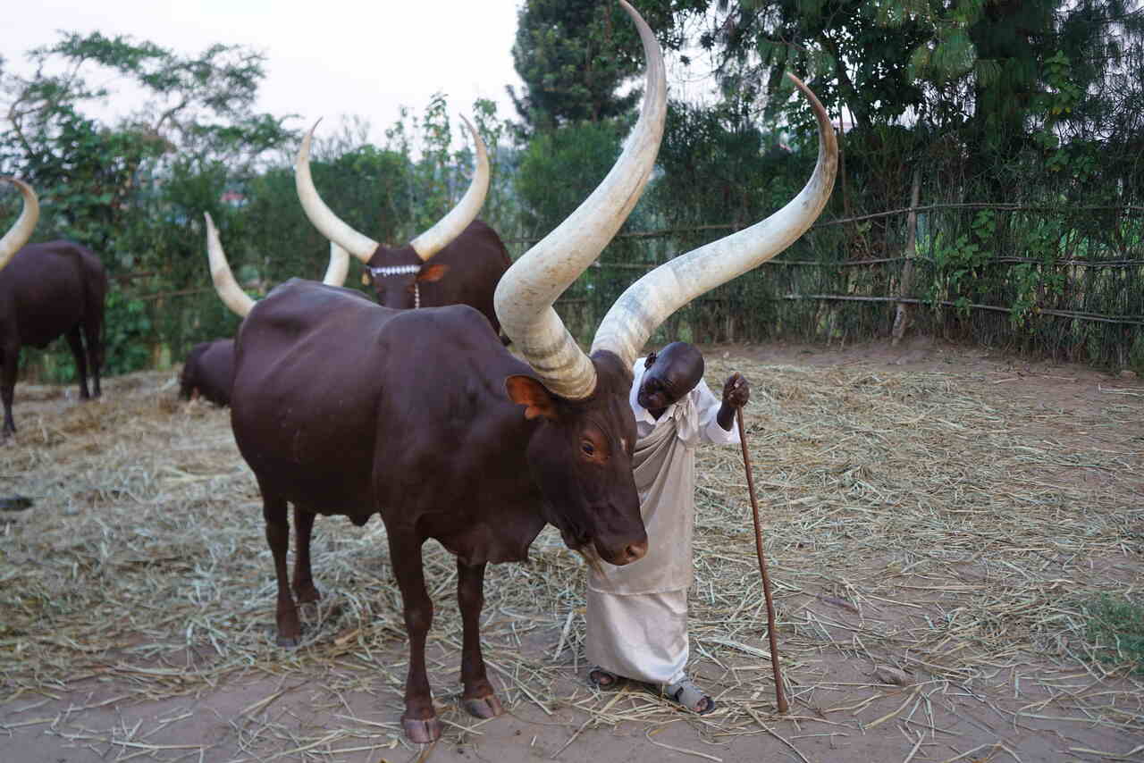 King’s Palace Museum – Royal Nyanza